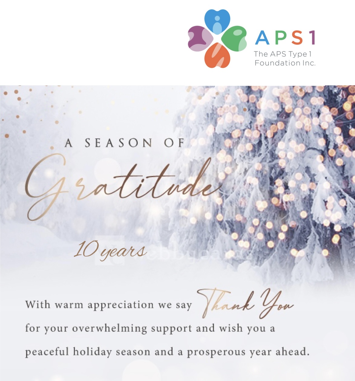 A SEASON OF GRATITUDE: CELEBRATING 10 YEARS OF THE APS TYPE 1 ...